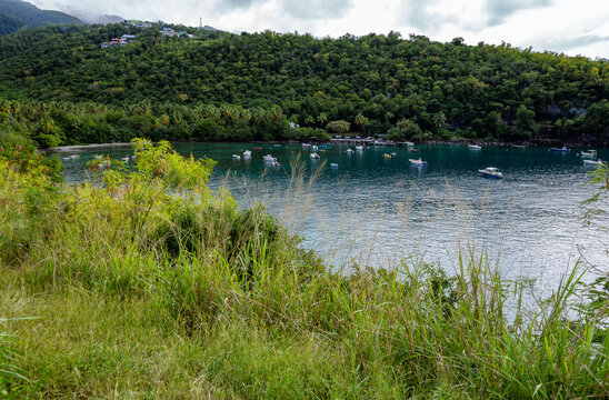 Gwada Images – Parcourir 696 le catalogue de photos, vecteurs et vidéos ...