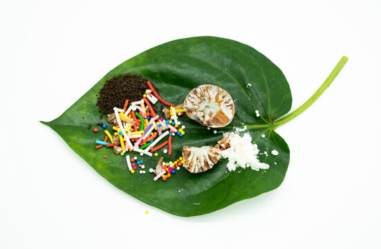 รูปภาพPaan – เลือกดูภาพถ่ายสต็อก เวกเตอร์ และวิดีโอ2,022 | Adobe Stock