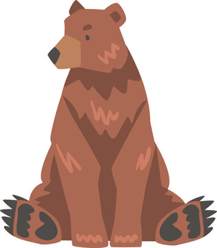 Free Bear Images – Browse 6,082 Free Stock Photos, Vectors, and Video ...