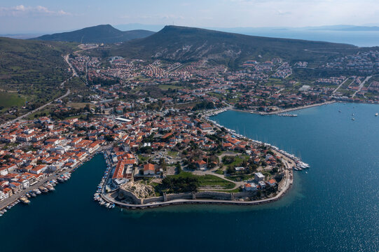 「Foca」の画像 - 3,360 件の Stock 写真、ベクターおよびビデオ | Adobe Stock