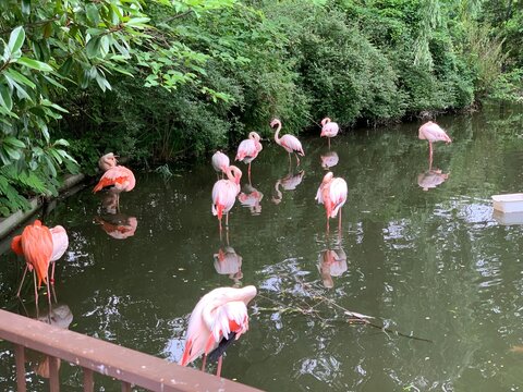 Wassernixe Bilder – Durchsuchen 9,885 Archivfotos, Vektorgrafiken und ...