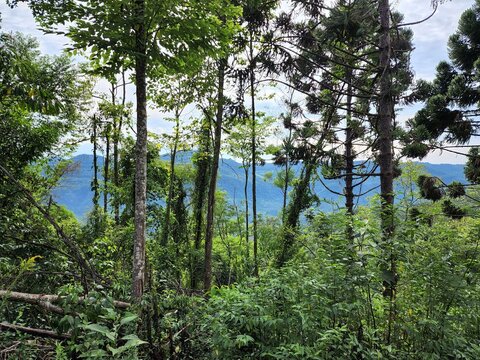 Imágenes de Minifundio: descubre bancos de fotos, ilustraciones ...