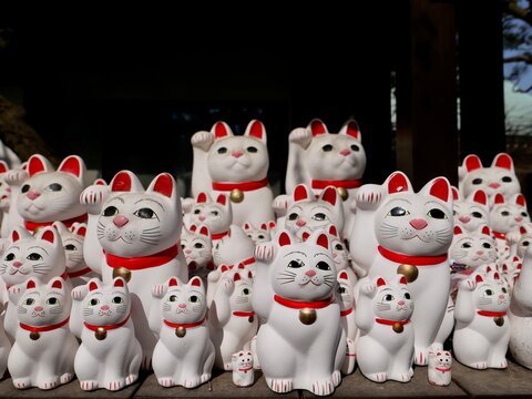 Manekineko Images – Browse 12,450 Stock Photos, Vectors, and Video ...