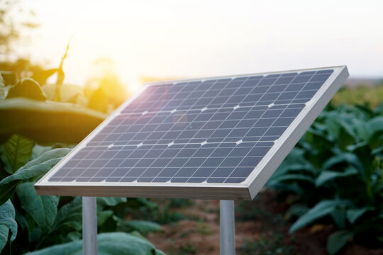 Solar-Cell Images – Browse 379 Stock Photos, Vectors, and Video | Adobe ...