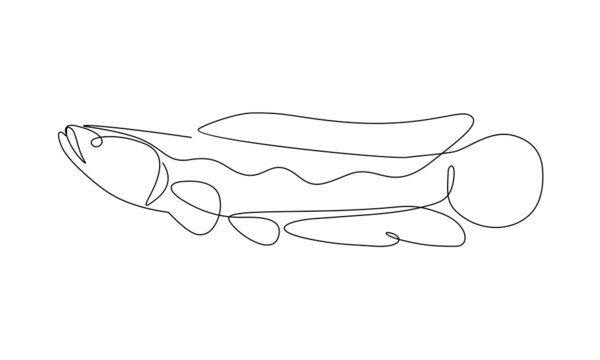 Varal Fish Images – Browse 473 Stock Photos, Vectors, and Video | Adobe ...