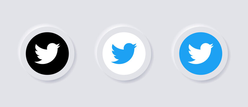 Twitter Icon White Circle