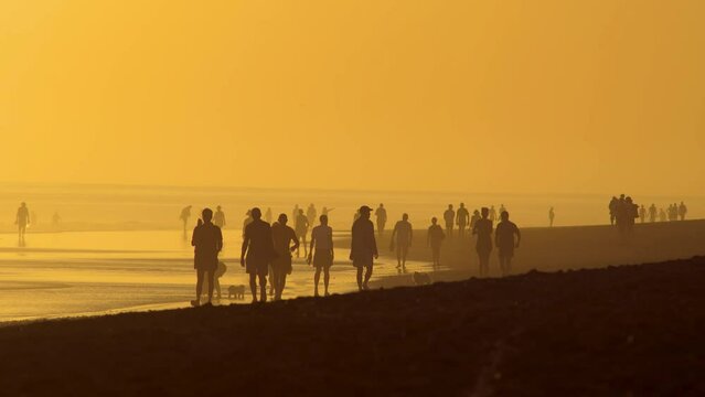 รูปภาพSiesta – เลือกดูภาพถ่ายสต็อก เวกเตอร์ และวิดีโอ26,897 | Adobe Stock