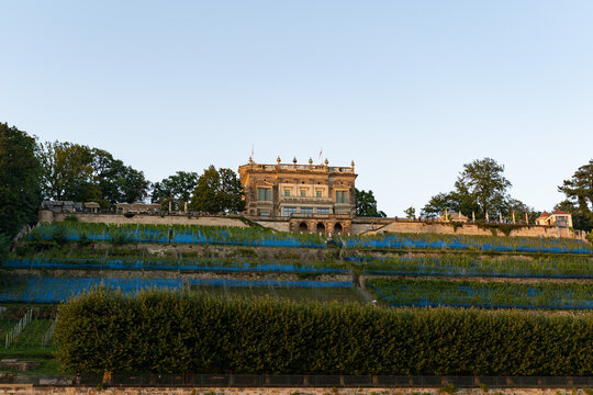 Lingner Images – Browse 99 Stock Photos, Vectors, and Video | Adobe Stock