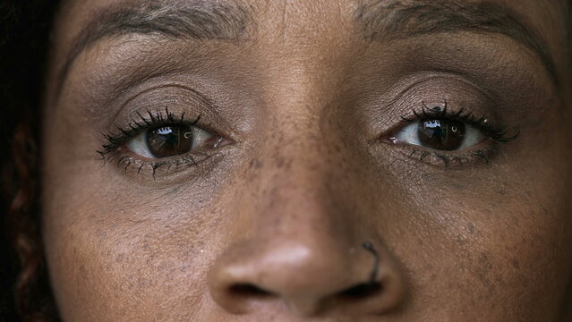 Stare Images – Browse 591,478 Stock Photos, Vectors, and Video | Adobe ...