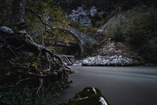 Sunnily Bilder – Durchsuchen 7,189 Archivfotos, Vektorgrafiken und ...