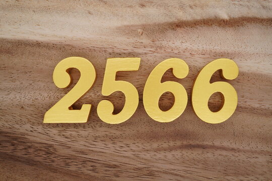 2566 Images – Browse 57 Stock Photos, Vectors, and Video | Adobe Stock