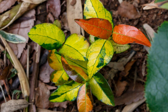 Profane Images – Browse 7,482 Stock Photos, Vectors, and Video | Adobe ...