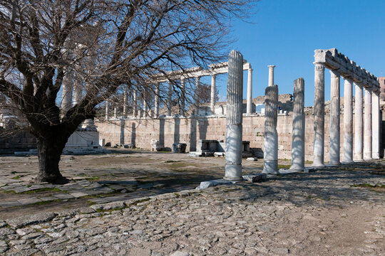 Pergamos Images – Browse 61 Stock Photos, Vectors, and Video | Adobe Stock