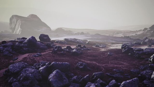 Wechte Bilder – Durchsuchen 1,089 Archivfotos, Vektorgrafiken und ...