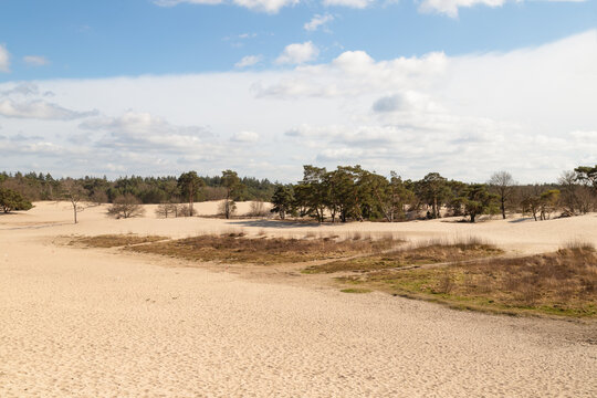 Soesterberg Images – Browse 51 Stock Photos, Vectors, and Video | Adobe ...