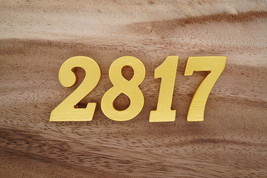 2817 Images – Browse 16 Stock Photos, Vectors, and Video | Adobe Stock