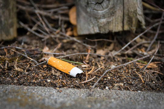 Stubs Bilder – Durchsuchen 41,655 Archivfotos, Vektorgrafiken und ...