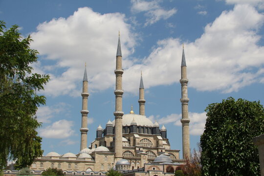 Imágenes de Mimar: descubre bancos de fotos, ilustraciones, vectores y ...