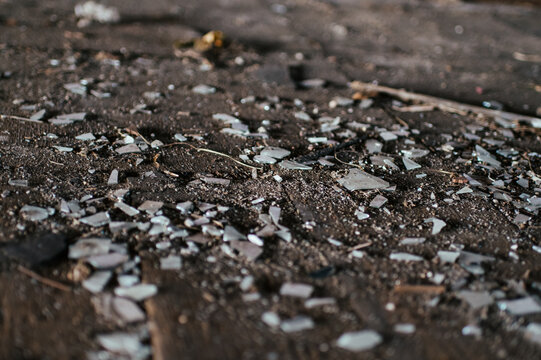 รูปภาพDebri – เลือกดูภาพถ่ายสต็อก เวกเตอร์ และวิดีโอ138,180 | Adobe Stock