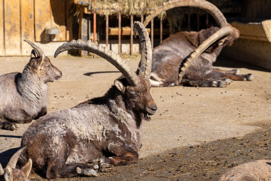 Alin photos, images, assets | Adobe Stock