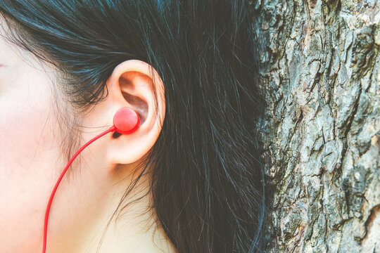 รูปภาพEarpod – เลือกดูภาพถ่ายสต็อก เวกเตอร์ และวิดีโอ9,230 | Adobe Stock