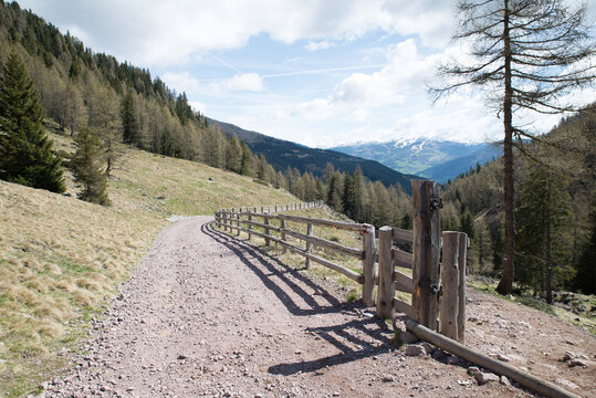 Fance Images – Browse 1,614 Stock Photos, Vectors, and Video | Adobe Stock