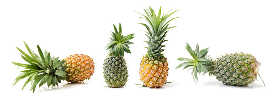 Abacaxi 이미지 – 찾아보기 441,716 스톡 사진, 벡터 및 비디오 | Adobe Stock