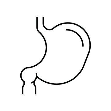 "Stomach Lining" Images – Browse 229 Stock Photos, Vectors, and Video ...