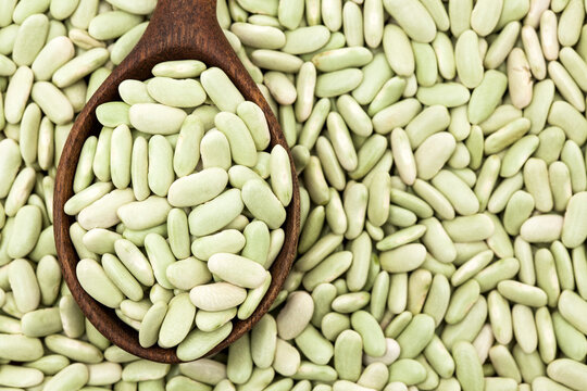 Prinzessbohnen Bilder – Durchsuchen 82,436 Archivfotos, Vektorgrafiken ...