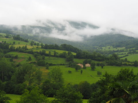 รูปภาพAsturiano – เลือกดูภาพถ่ายสต็อก เวกเตอร์ และวิดีโอ843 | Adobe Stock