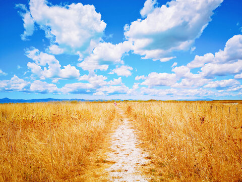 Dry. Images – Browse 5,243,313 Stock Photos, Vectors, and Video | Adobe ...