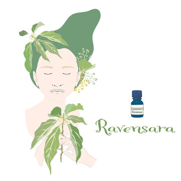 "Ravensara Aromatica" Images – Browse 265 Stock Photos, Vectors, and ...