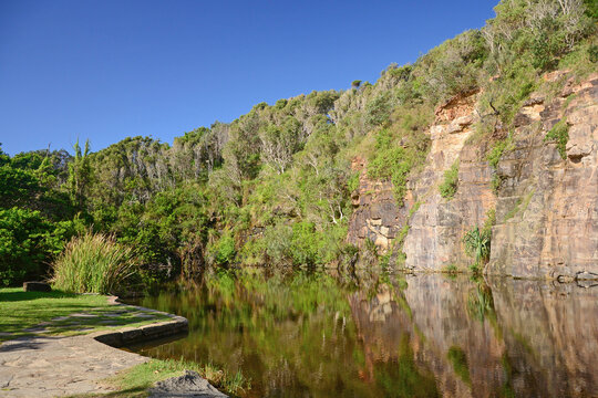 รูปภาพYamba – เลือกดูภาพถ่ายสต็อก เวกเตอร์ และวิดีโอ805 | Adobe Stock