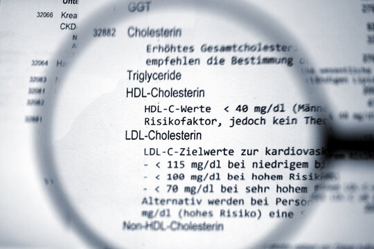 「Cholesterinwerte」の写真素材 | 66件の無料イラスト画像 | Adobe Stock