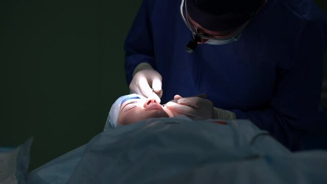 Dissection Images – Browse 22,334 Stock Photos, Vectors, and Video ...