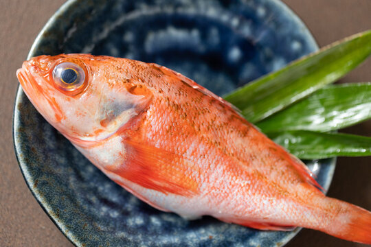 Bullar-Bilder: Stock-Fotos & -Videos. | Adobe Stock