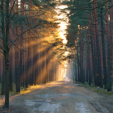 Pervaded Images – Browse 14,516 Stock Photos, Vectors, and Video ...