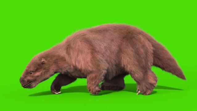 Mylodon 이미지 – 찾아보기 128 스톡 사진, 벡터 및 비디오 | Adobe Stock