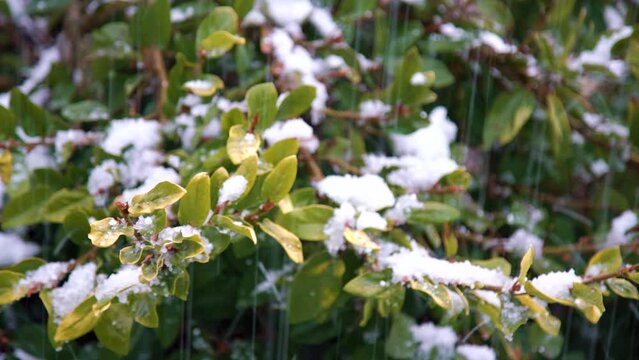 Graupelschauer Bilder – Durchsuchen 1,611 Archivfotos, Vektorgrafiken ...