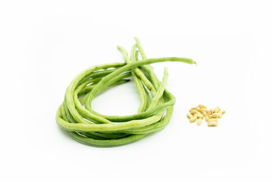 Borboti Images – Browse 58 Stock Photos, Vectors, and Video | Adobe Stock