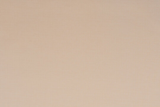 Fond Beige Uni