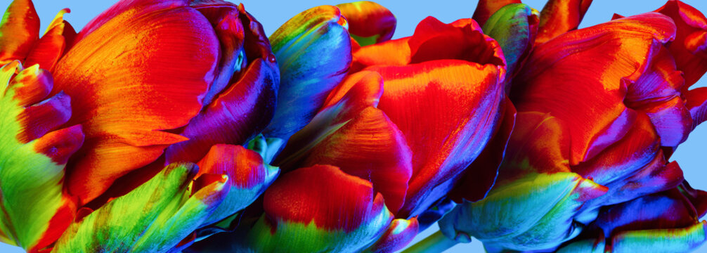 Multicolour Images – Browse 4,701,721 Stock Photos, Vectors, and Video ...