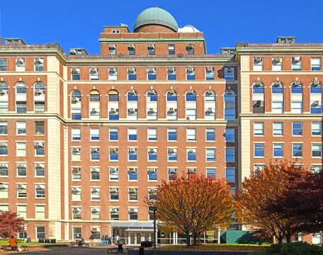 Pupin Images – Browse 45 Stock Photos, Vectors, and Video | Adobe Stock