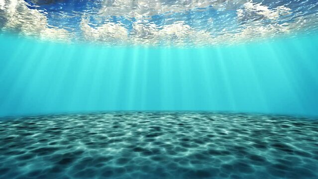 Radiates Images – Browse 64,961 Stock Photos, Vectors, and Video ...