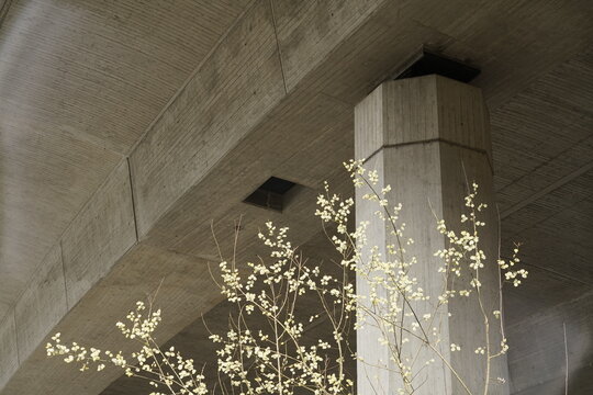 「Pfeiler」の画像 - 9,019 件の Stock 写真、ベクターおよびビデオ | Adobe Stock