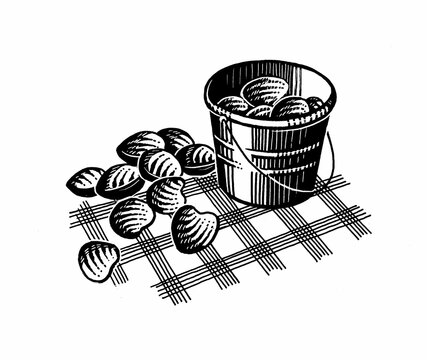 Clambake Clipart