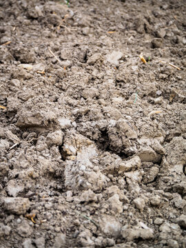 「Umelt」の写真素材 | 82件の無料イラスト画像 | Adobe Stock