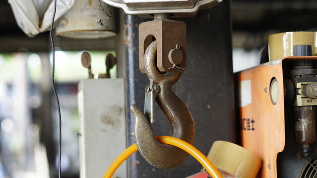 รูปภาพHaptera – เลือกดูภาพถ่ายสต็อก เวกเตอร์ และวิดีโอ1,426 | Adobe Stock