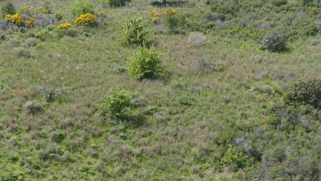 Radura Images – Parcourir 654 le catalogue de photos, vecteurs et ...