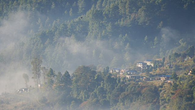 Jiri Images – Parcourir 487 le catalogue de photos, vecteurs et vidéos ...